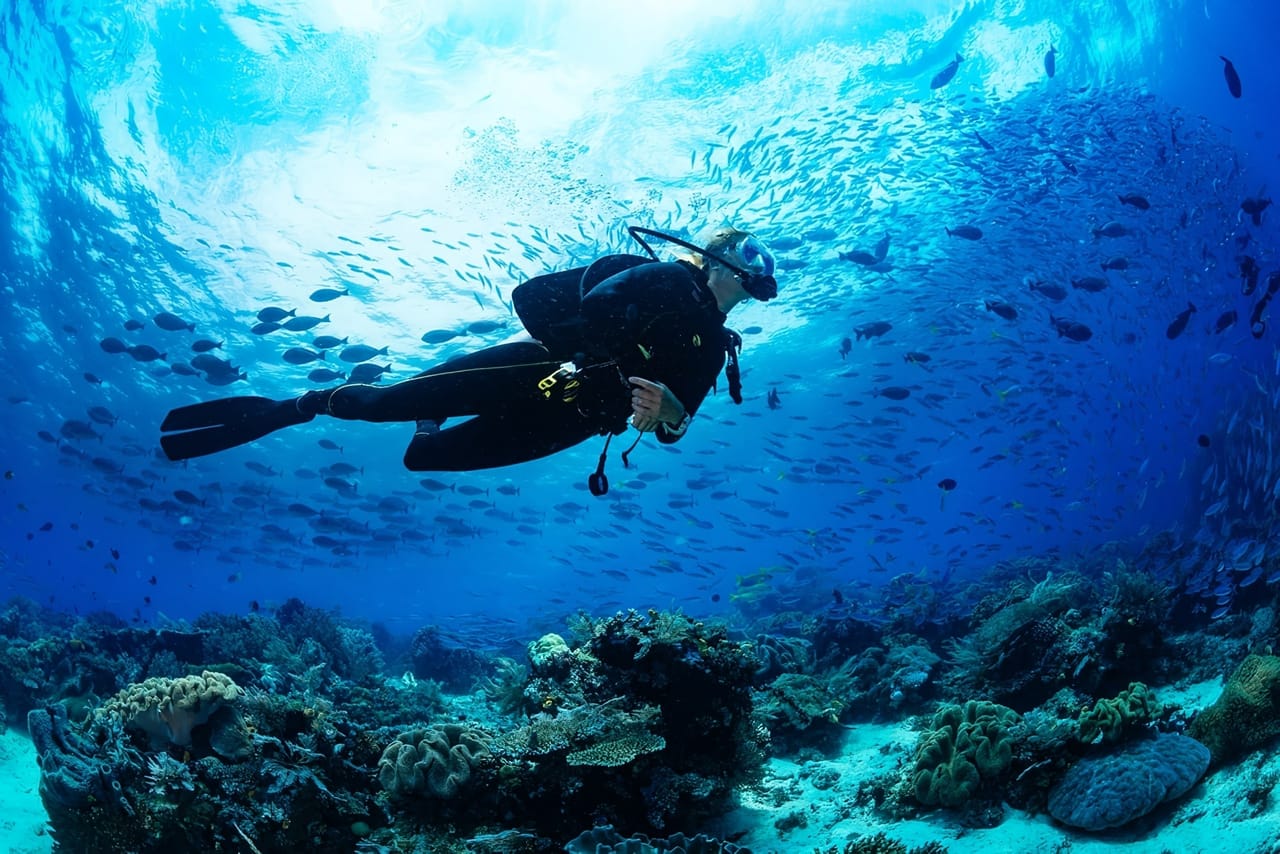 Plongée sous-marine à Koh Lanta
