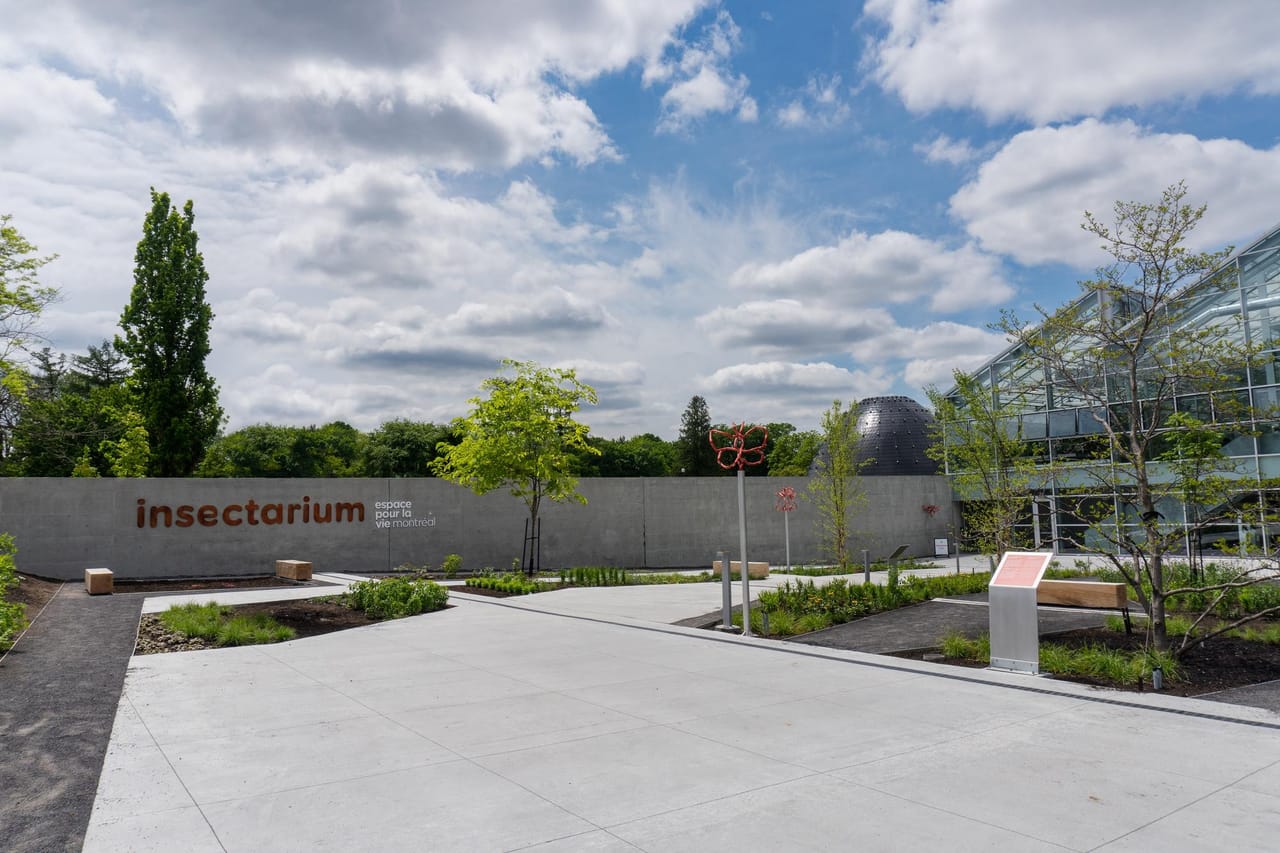 Visiter l'Insectarium de Montréal : billets, prix, horaires