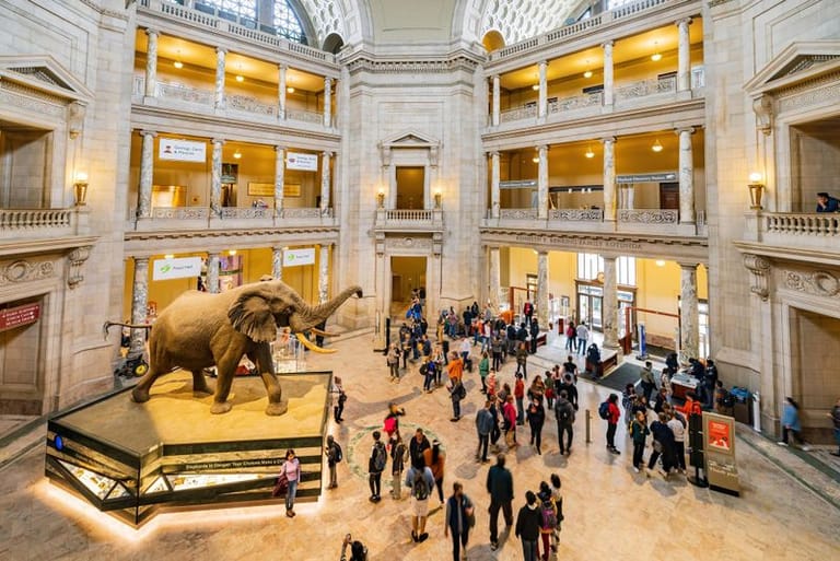 Visiter le Capitole à Washington : billets, prix, horaires