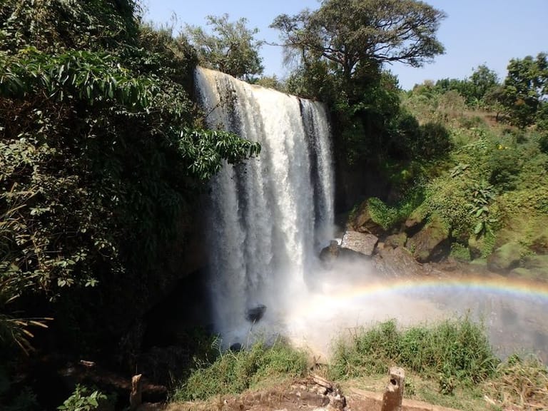Visiter le Mont Cameroun : billets, prix, horaires
