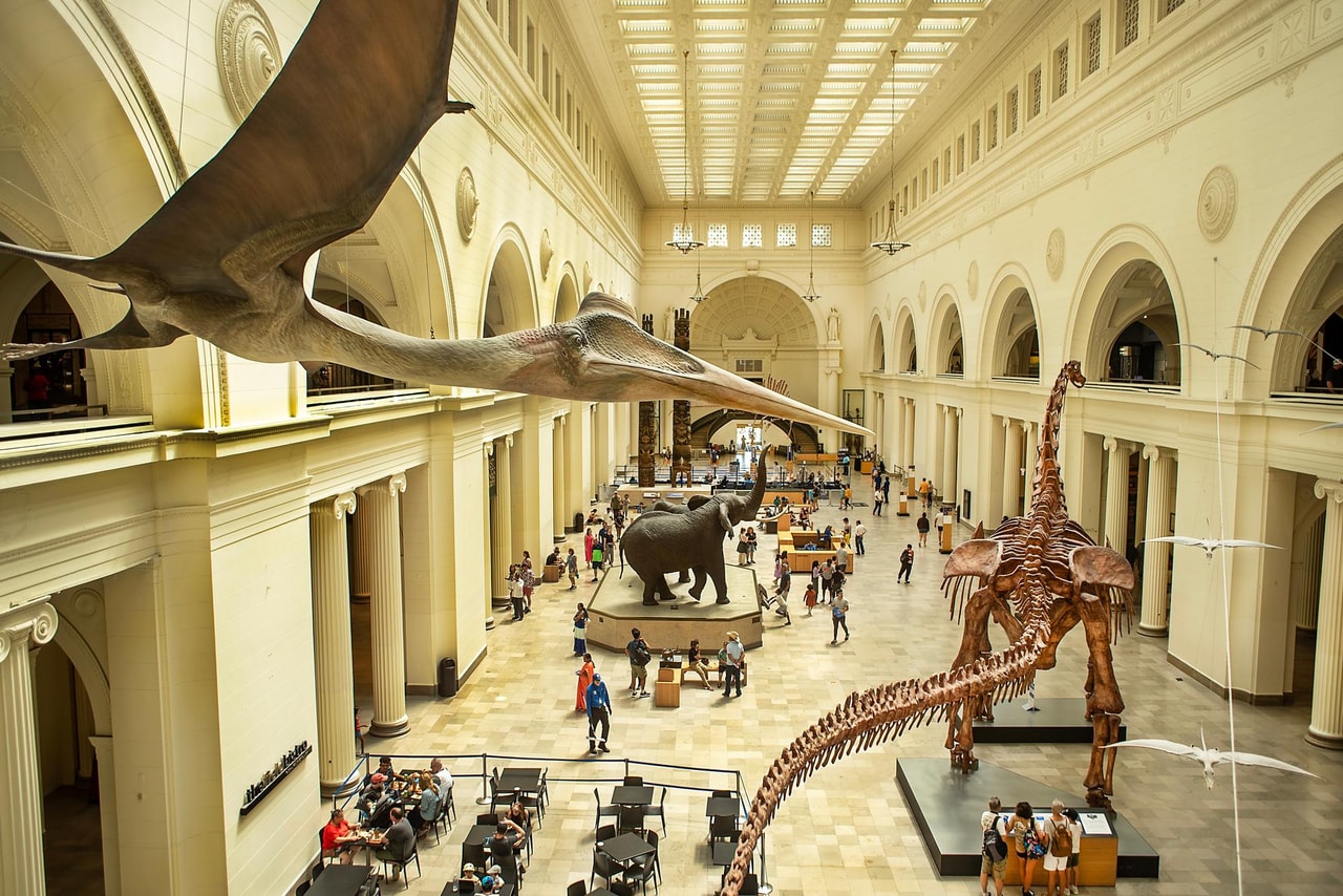 Visiter le Field Museum à Chicago : billets, prix, horaires