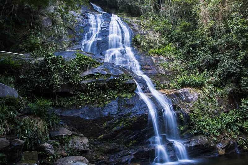Visiter la Forêt de Tijuca à Rio de Janeiro : billets, prix, horaires