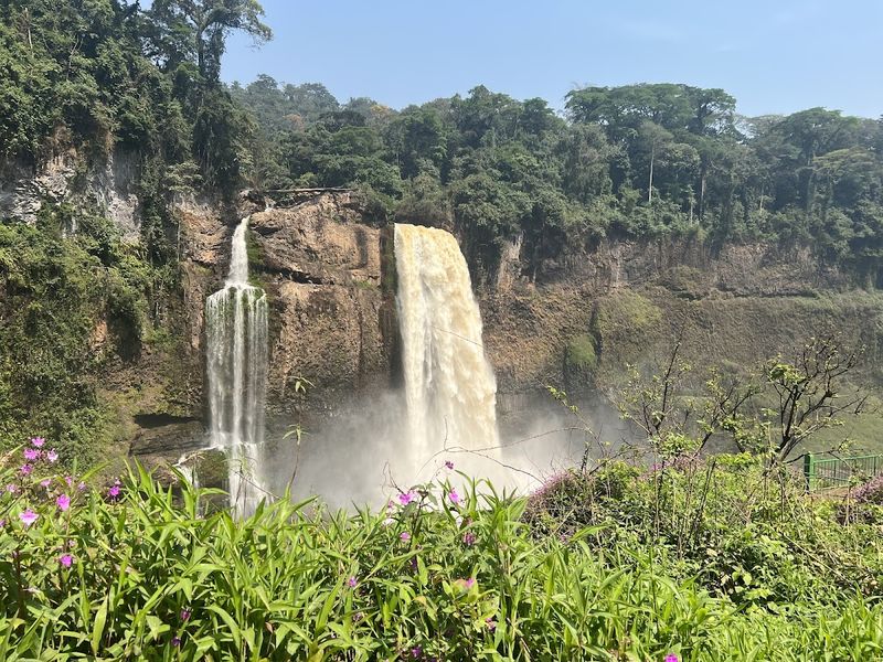 Visiter le Mont Cameroun : billets, prix, horaires